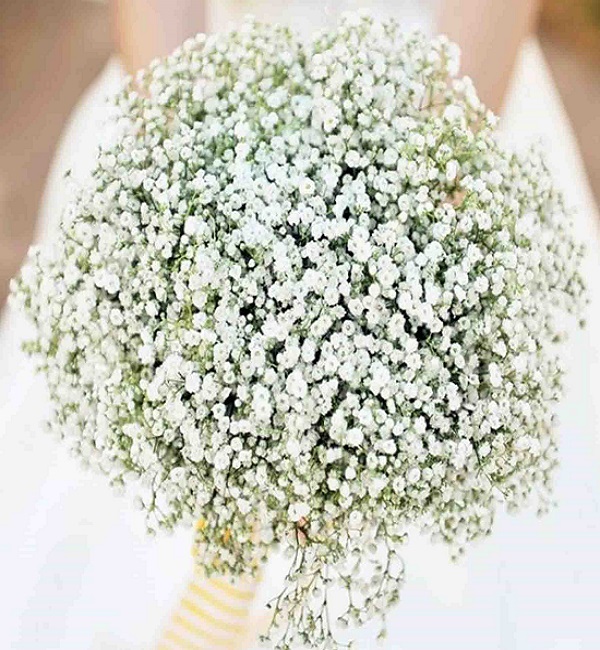 Gelin Çiçeği Cipso Tasarım çiçekçi, Gelin Çiçeği Cipso Tasarım çiçek gönder